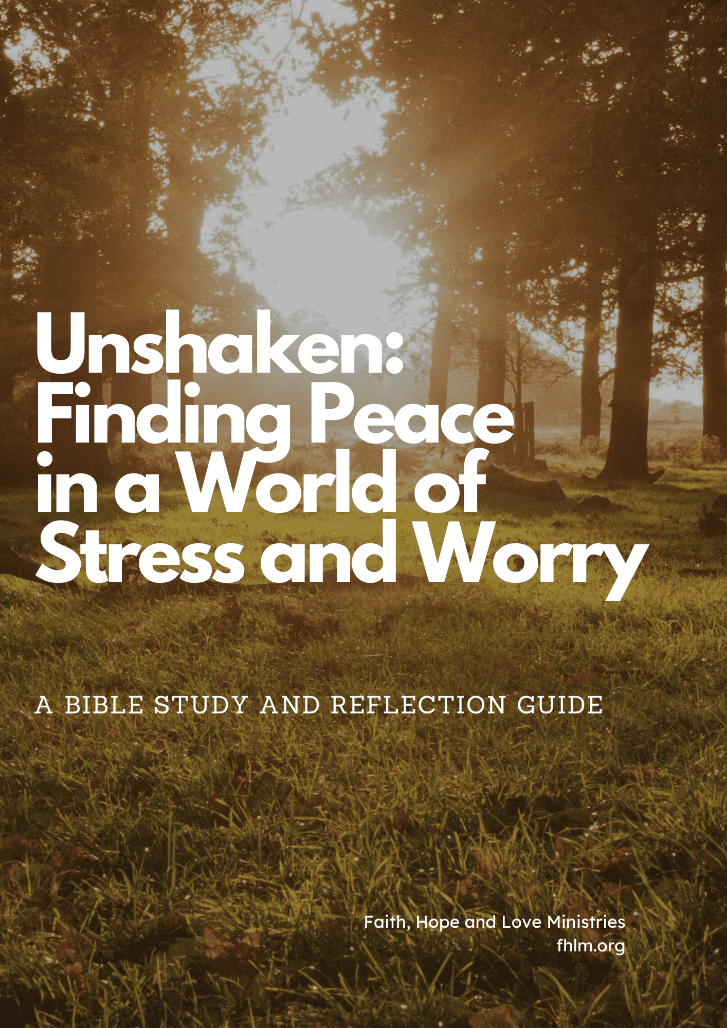 Unshaken: Finding Peace In A World Of Stress And Worry - A 10-Session ...